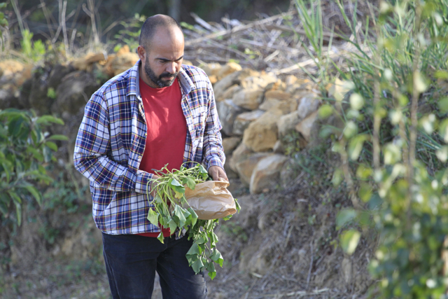 vida_comunitaria_2 – Enraizar